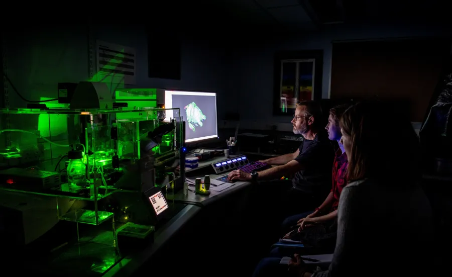 Biomedical confocal and lightsheet microscopy facility | University of Southampton